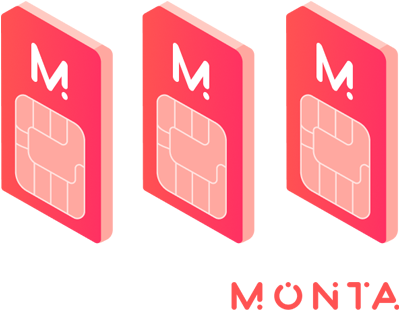 Wireless Logic Nordic Monta